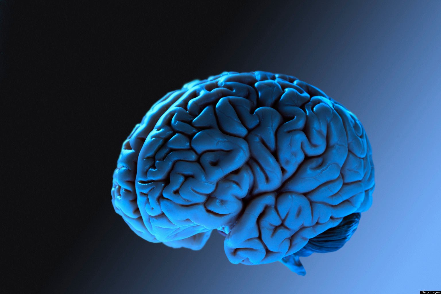 Exploring the Effects of CBD on the Brain: Potential Benefits and Mech